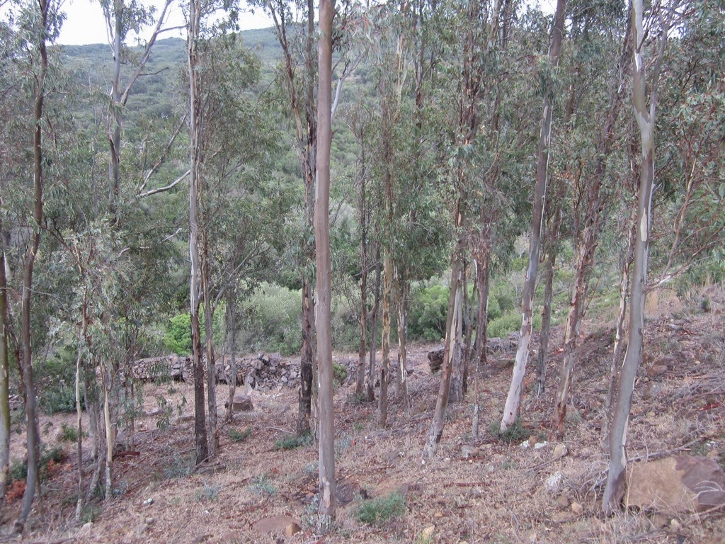 El Cinchado y el Pilar de la Brama - El blog de salus