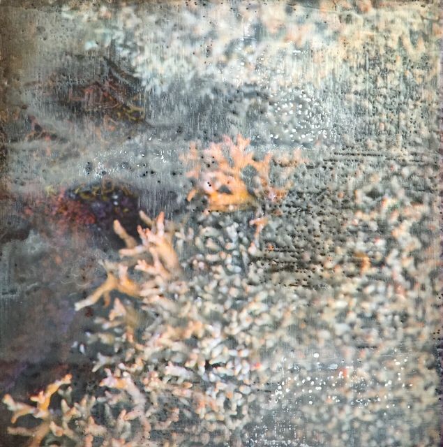 jean larson photography