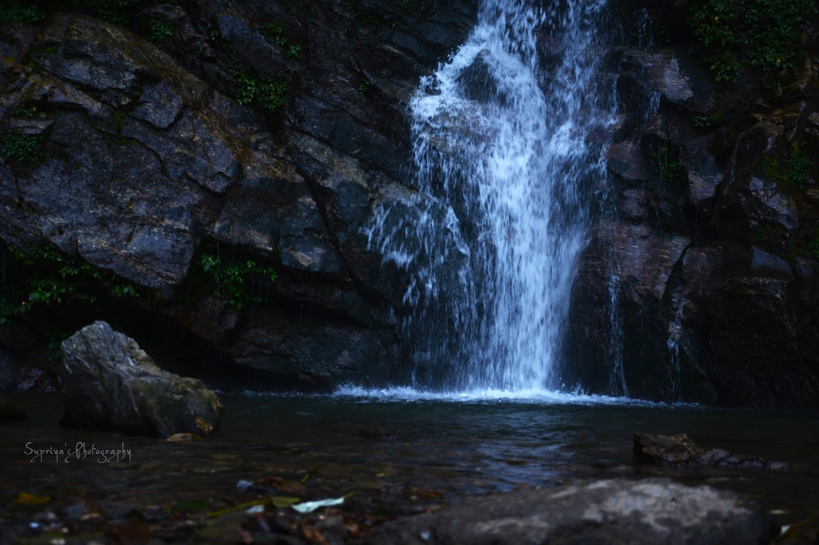 EXPLORING THE PARADISE-"SIKKIM": Sikkim - A Trip To Remember