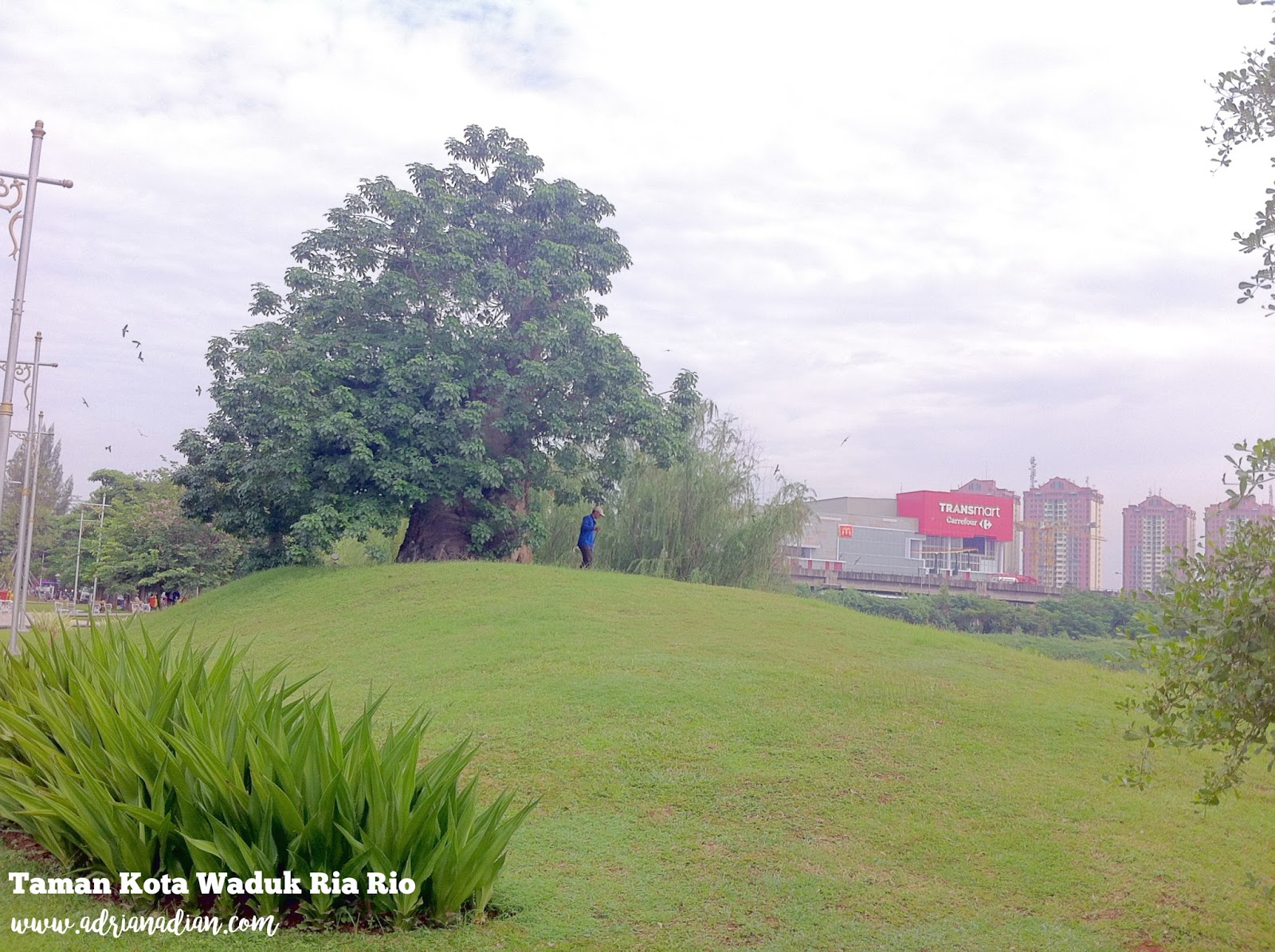 Perayaan Hari Kartini di Taman Kota Waduk Ria Rio