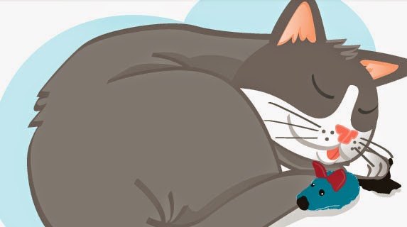 Plataforma GATERA: ¿Sabes cómo alimentar adecuadamente a tu gato?