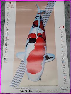 STUDIO ANTIQUE: KALENDER IKAN KOI Th. 2001 - CALENDER KOI JEPANG ...