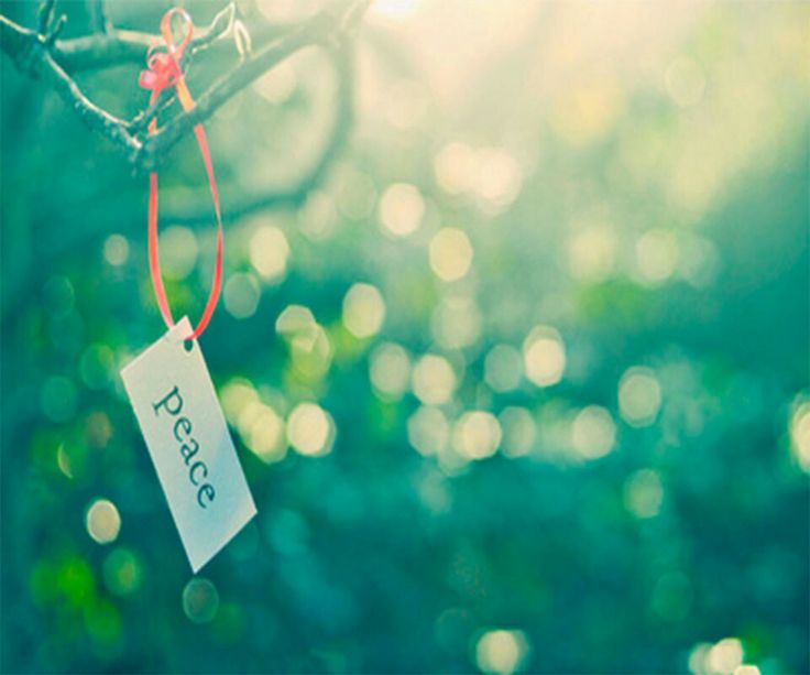 Praise the Lord Jesus Christ: Promise of Peace