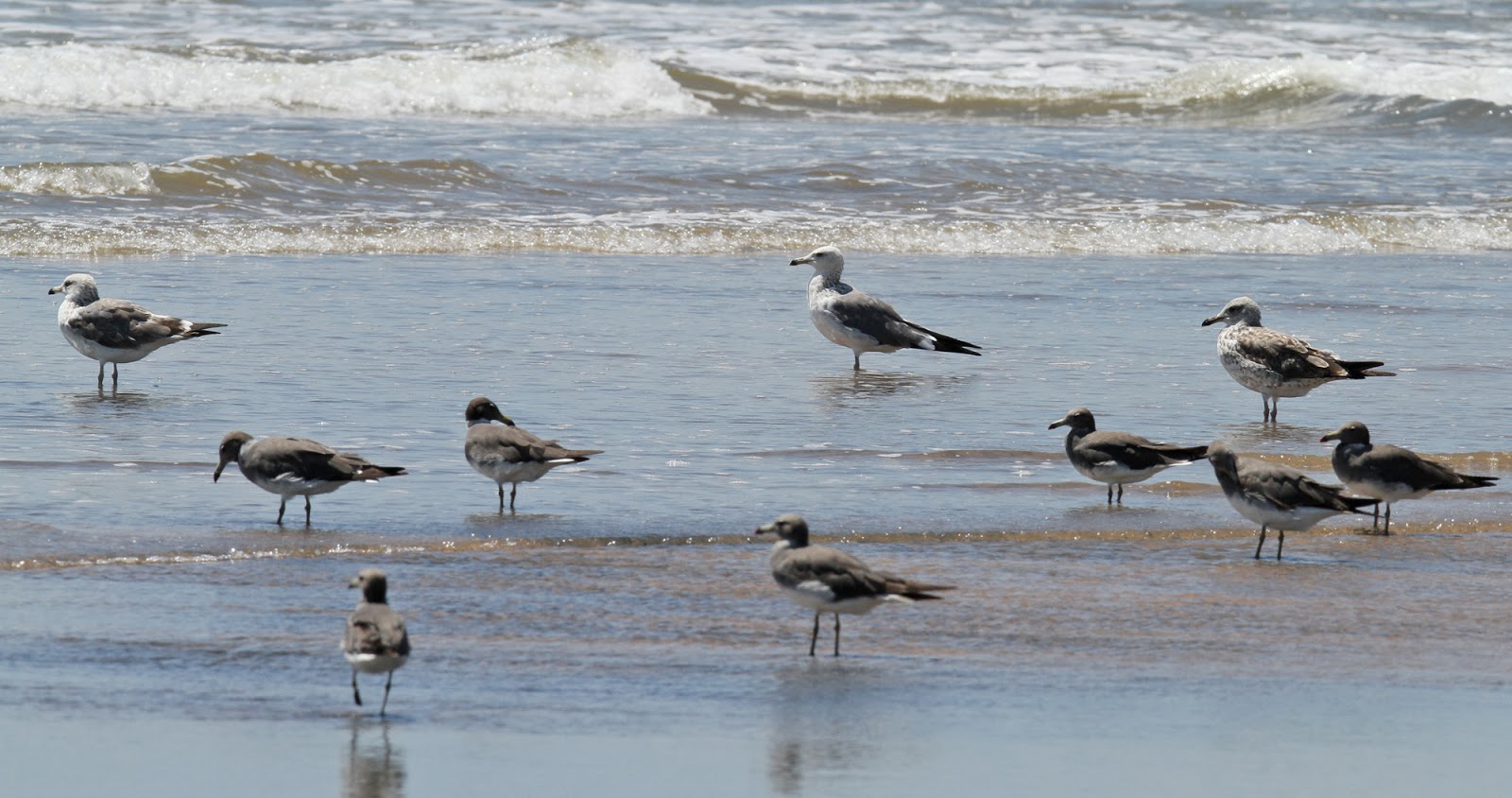 Simon and Karen Spavin: Sabaki River Mouth