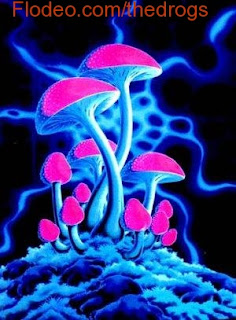 hongos alucinogenos: hongos alucinogenos usados como drogas