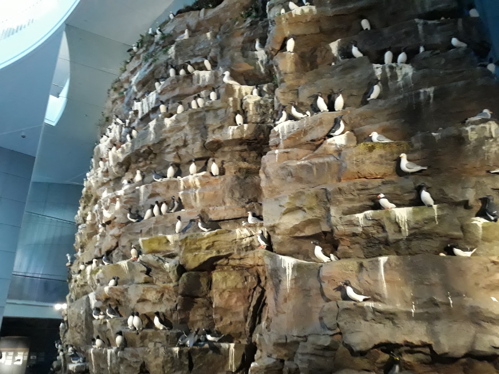 Observations of the Practical Kind: Iceland in Winter: Perlan