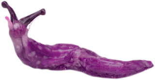 World of Ortix: Giant Slugs!