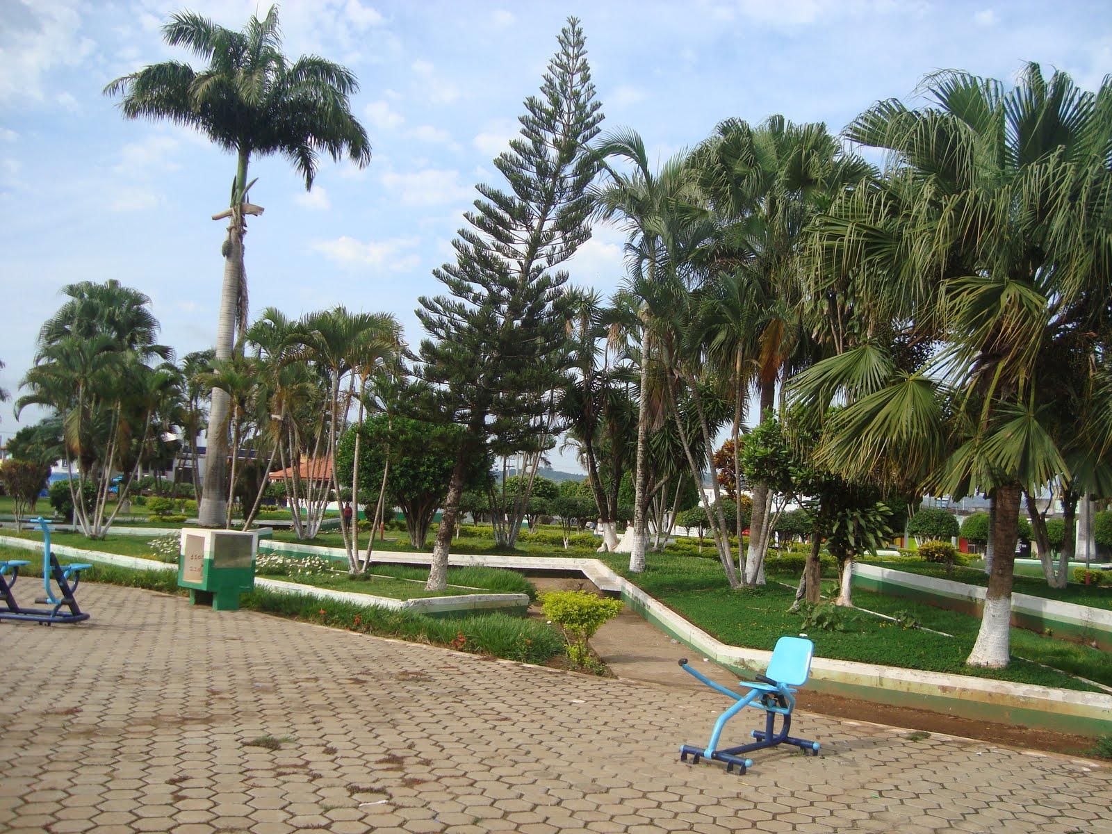 ALTA FLORESTA d'OESTE - RONDÔNIA ~ Conhecimento é tudo