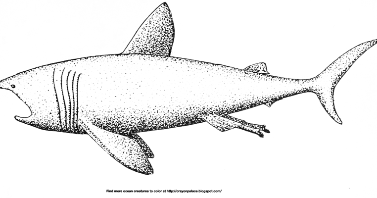 Basking Shark Coloring Pages