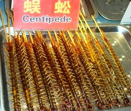 gattosandro viaggiatore - travel blog: La Cina (e i cinesi) secondo me