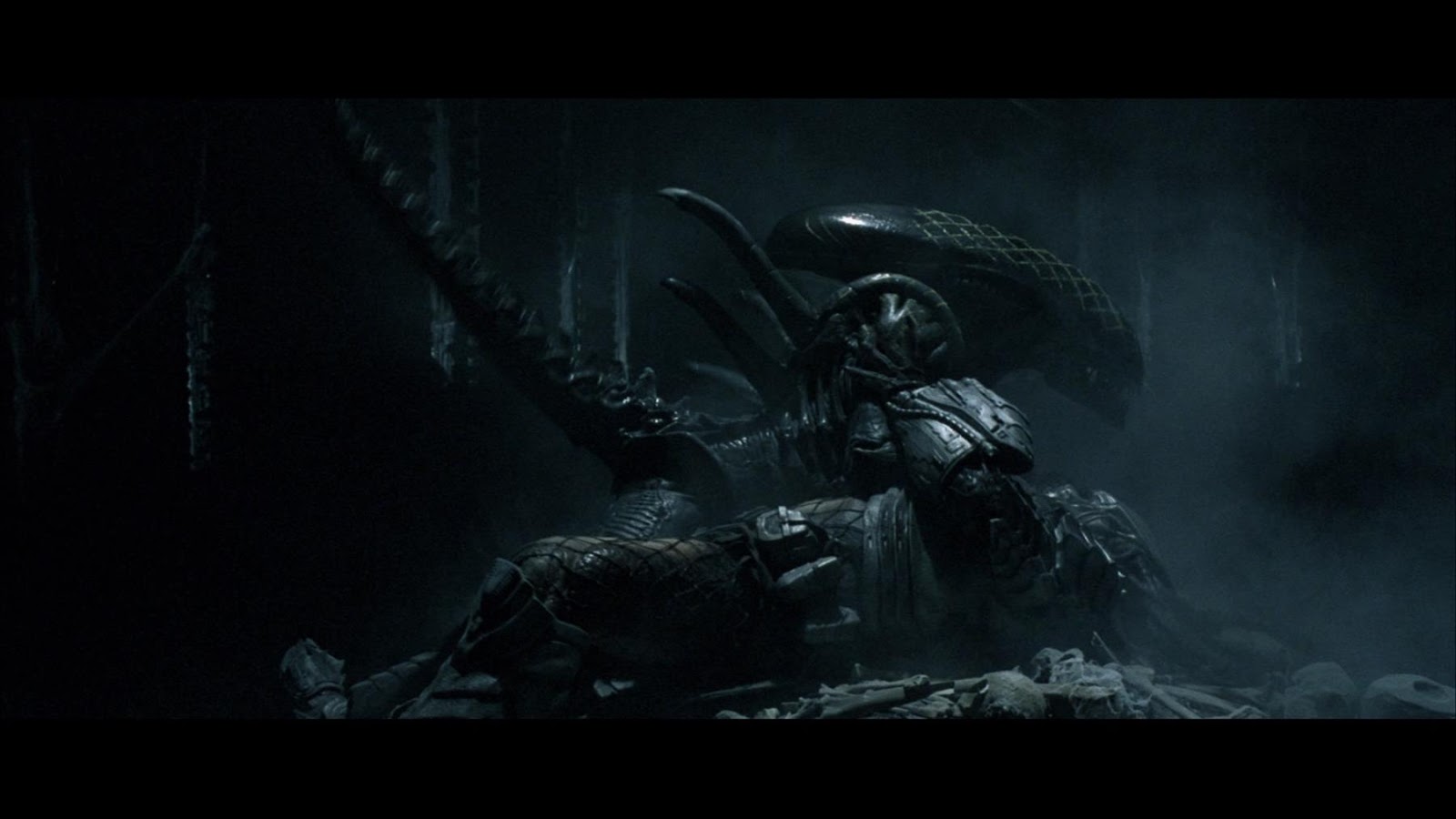 Alien Explorations: Alien vs Predator: Grid Alien (Tom Woodruff Jr ...