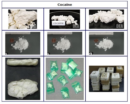 The Government Information Library at the University of Colorado ...