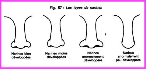 ALERTE VOTRE CORPS VOUS PARLE: N°6 - LE NEZ, LES JOUES, LA BOUCHE ET ...