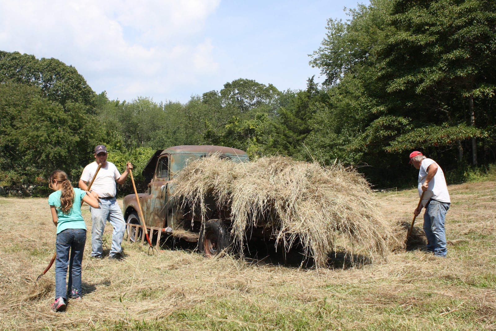 Movin' Like a Herd of Turtles: Making Hay 2012