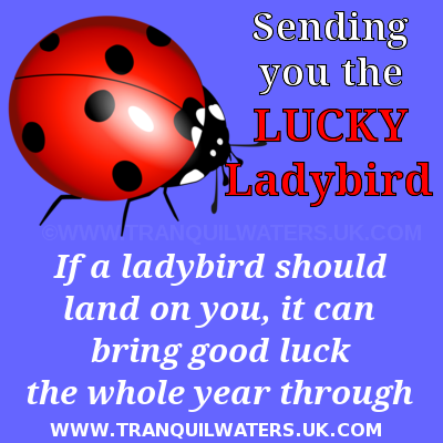 Sending you the LUCKY LADY BIRD, If a ladybird should land on you, it ...