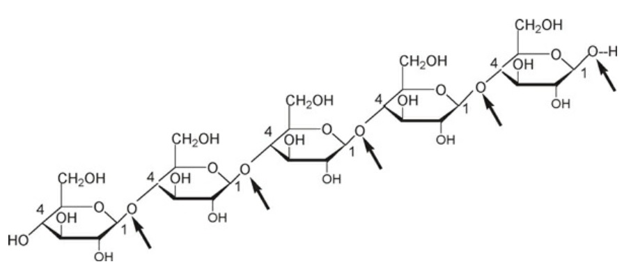 Química dos medicamentos : Celulose