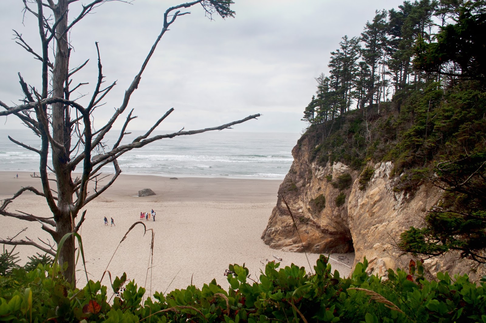 The Adventures of Asher & Journey: Hug Point Beach, Seaside, Oregon