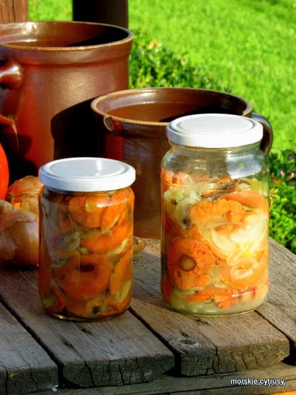 Musisz mieć ze sobą limonkę: Rydze kiszone po litewsku czyli ...