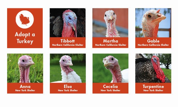 The Healthy Hoff: Adopt a Turkey Today!