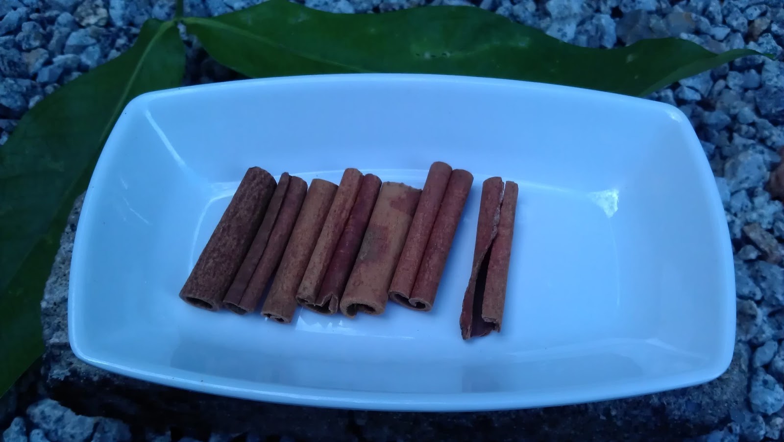 What I Think: Cinnamon Stick