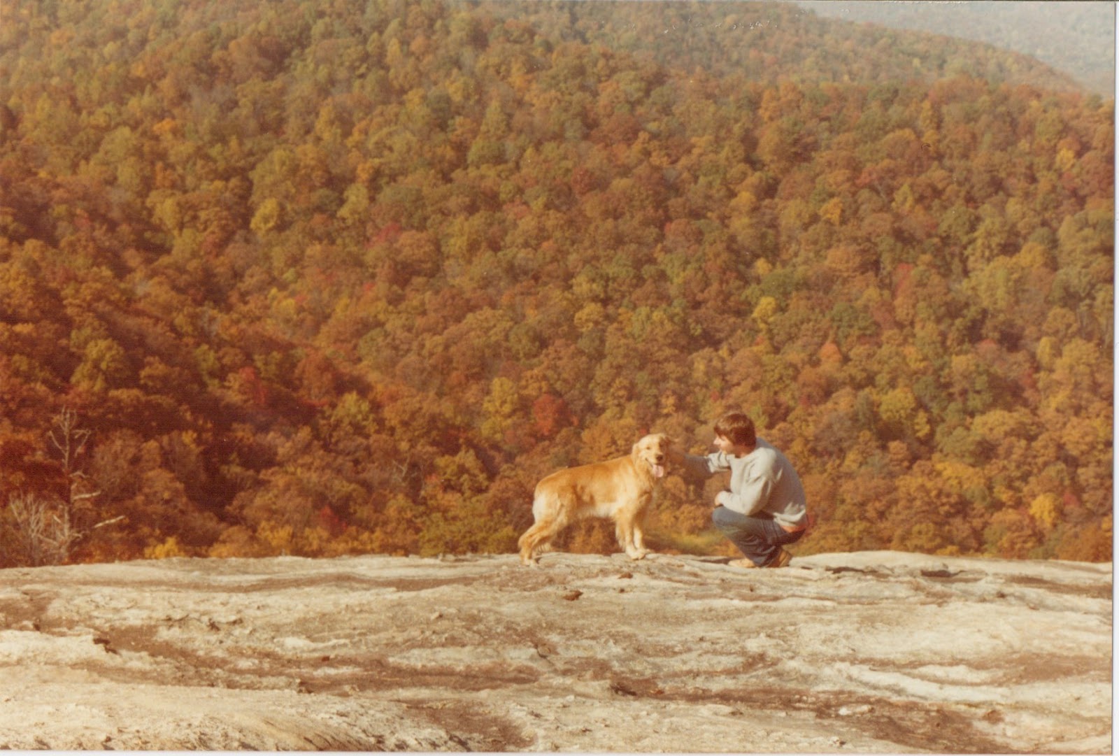 One Thousand Reasons to Love Hendersonville NC: Foothills Trail