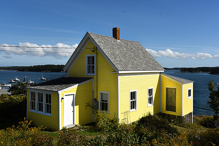 The Art of Bruce: That Yellow House Flowering
