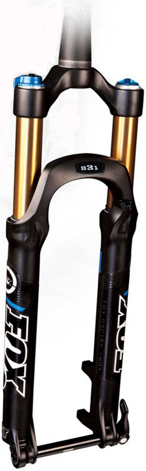 Team DUS 40: Produkt des Monats