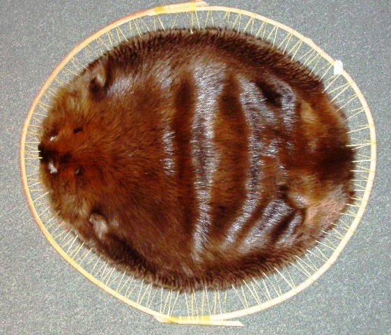 on target shooter nz: A (3rd!) Look at Black-Powder FLINTS