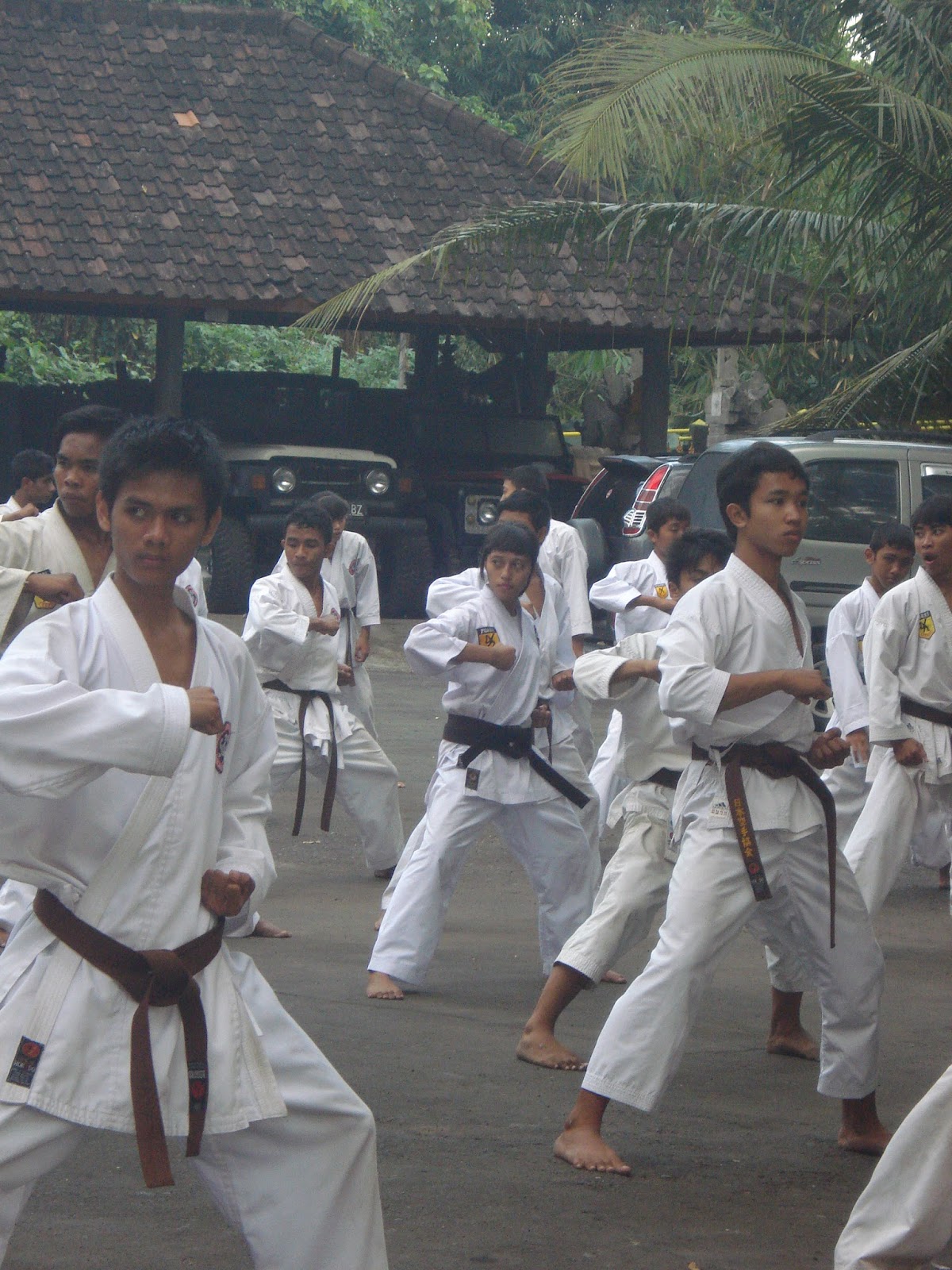 INKANAS SUMBAWA Collection ~ Tizar Inkanas