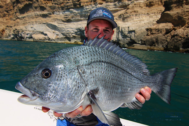 Gearing Up For Your Southern Oman Expedition Part Two - Light Tackle ...