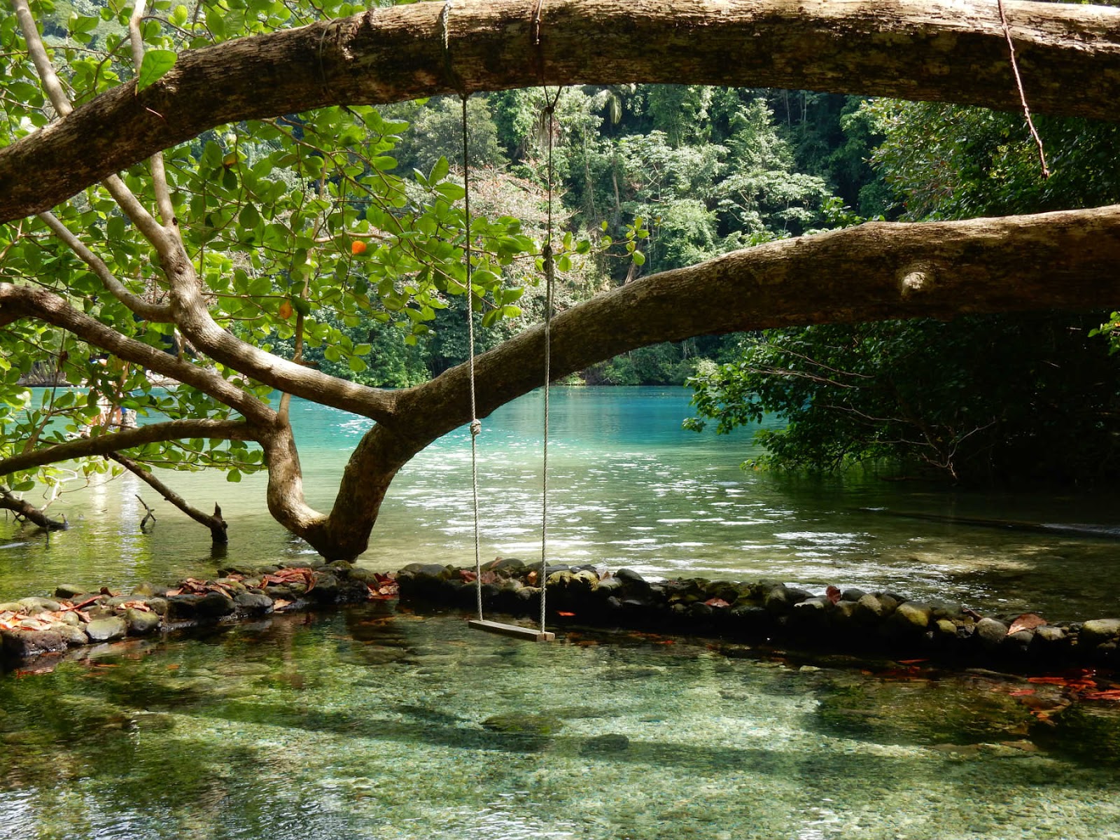 Dicas para conhecer a Lagoa Azul na Jamaica! - Renata Viaja...