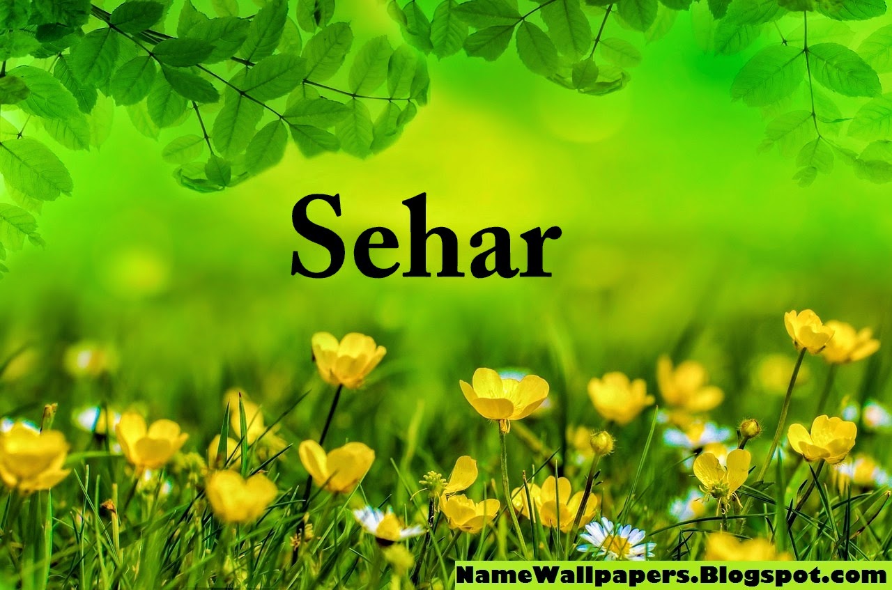 Sehar Name Wallpapers Sehar ~ Name Wallpaper Urdu Name Meaning Name ...