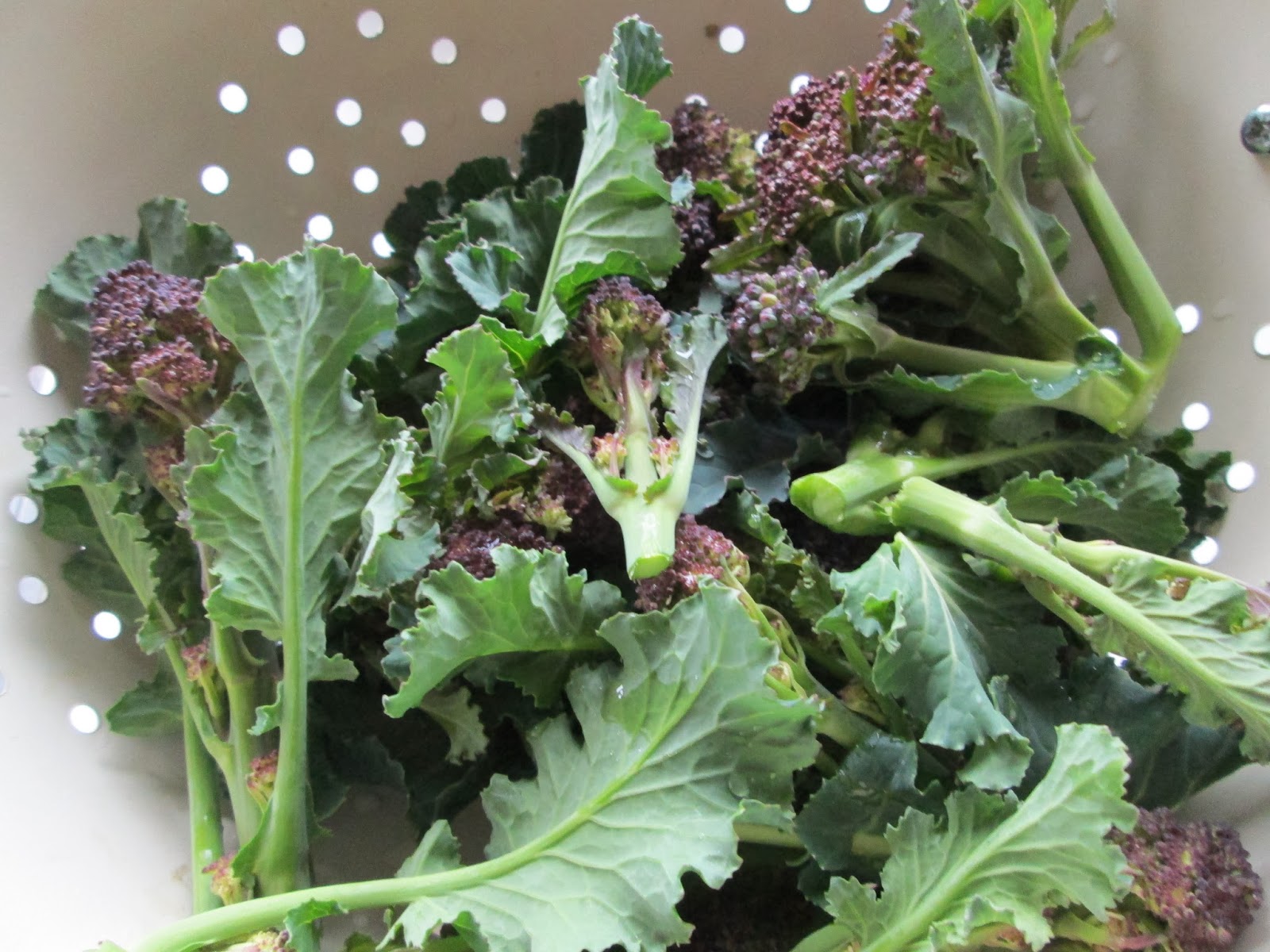A Quiet Life in Suffolk: Purple Sprouting Broccoli Treat