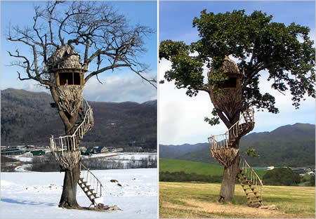 Extremely distinct expensive tree houses - twenty ranking