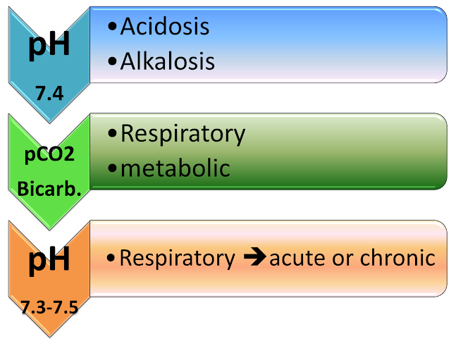 Critical Care ideas: Acid Base interpretation as easy as possible