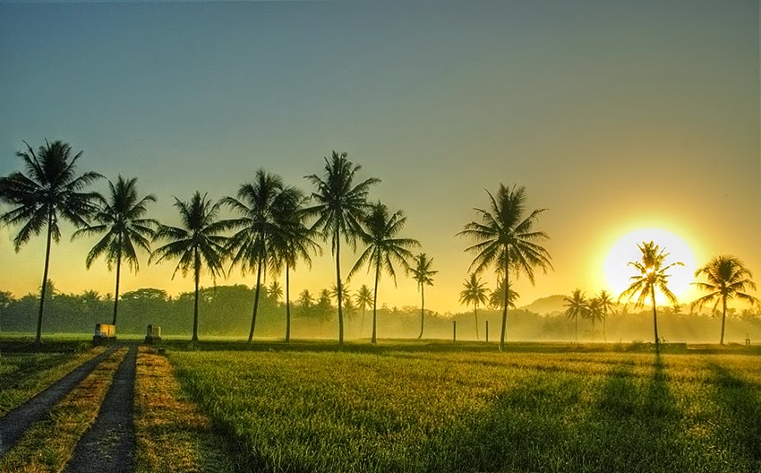 Menyongsong Pagi Cerah ~ Desa Budaya Daratan