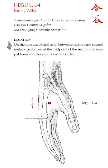 Acupuncture Masters: Acupuncture Points Database - Large Intestine channel