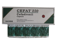 Obat antibiotik CEFAT 250 MG