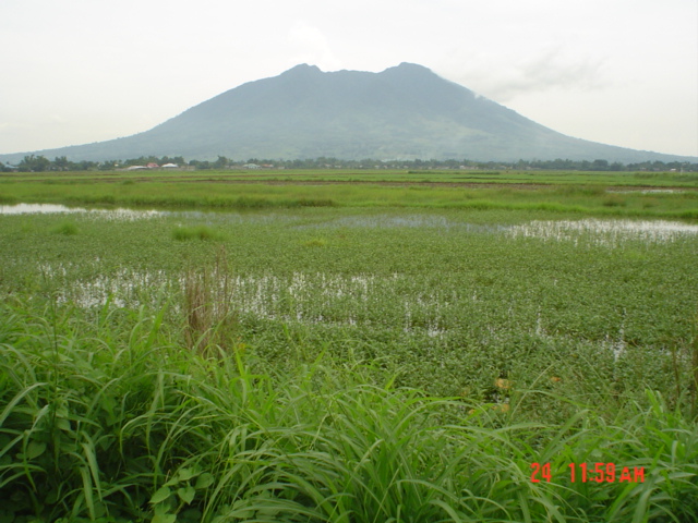 Philippine Parks and Protected Areas: Mt. Arayat National Park in Pampanga