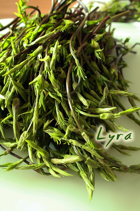 Un vegano appetito: Risotto con bruscansi (germogli di luppolo selvatico)