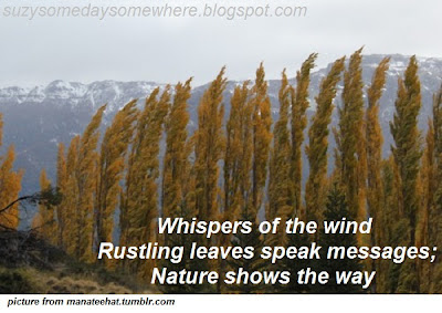 Someday Somewhere: Haiku - Nature and Childhood