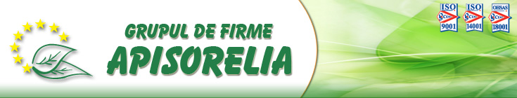 scoalatrifestiistorie: Serbare de sfarsit de an scolar