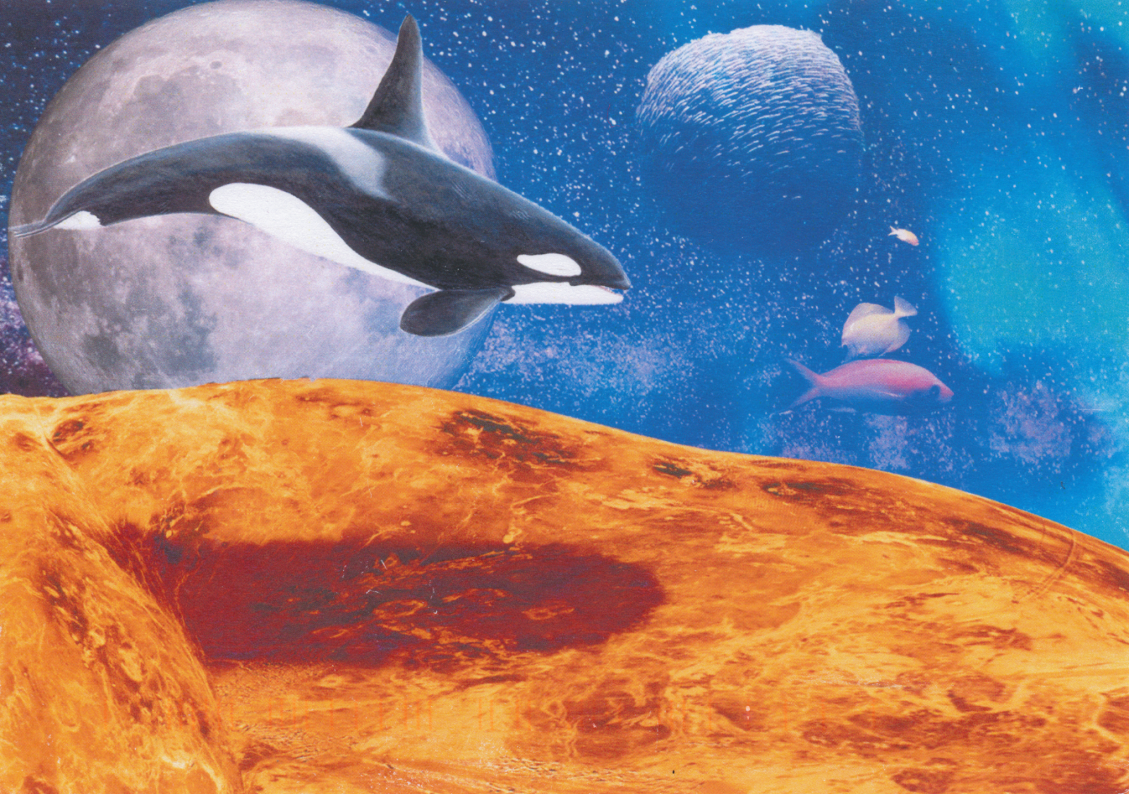 Wish I Were Here: Postcard the fifty-seventh: Orca Planet