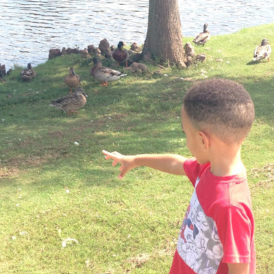 FIAR: The Story About Ping - Big Heart Little Hands