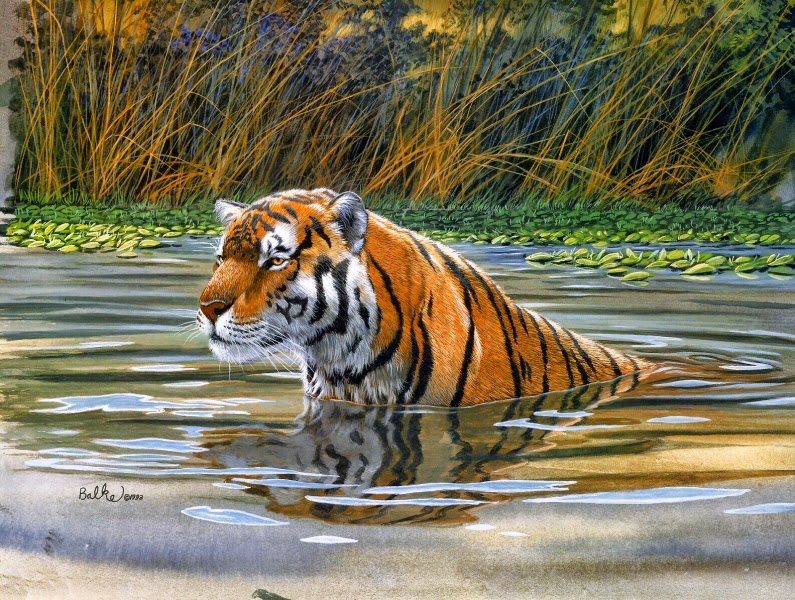 Мир искусства в живописи: Don Balke (1932-)