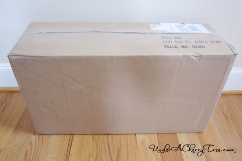 Under A Cherry Tree: Cutter 2 of 3: The Boss Kut Gazelle Review (part 1)