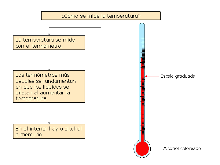 Partes del termometro de mercurio - Imagui