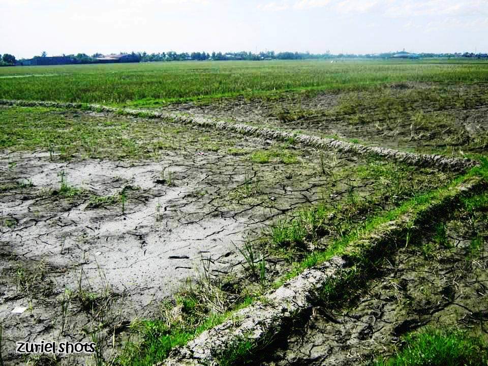 Zuriel Shots: Barangay Dalig