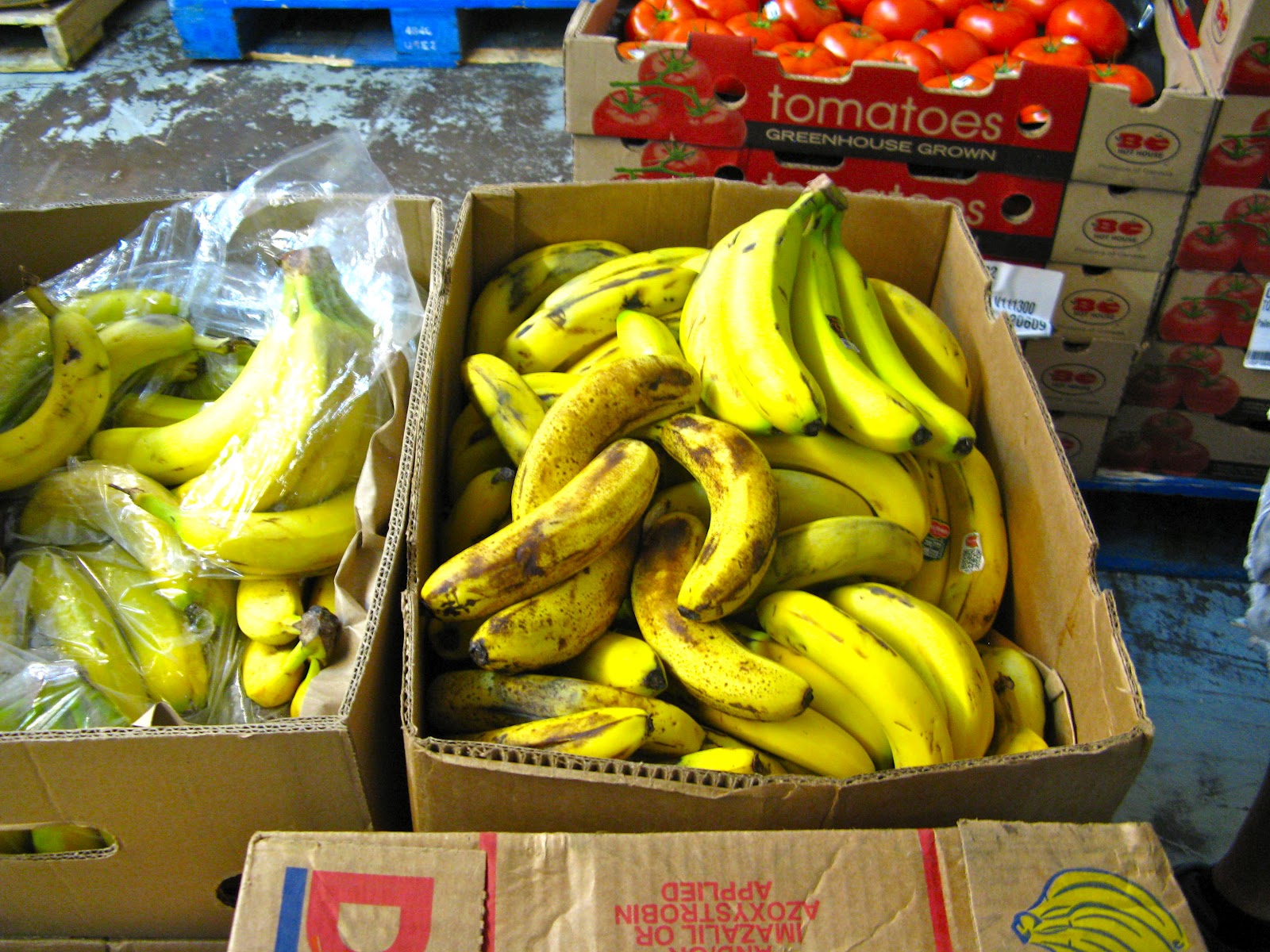 shark-s-bites-of-life-peddler-s-son-produce