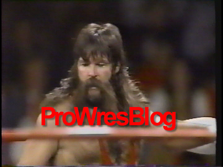 ProWresBlog: WCW Power Hour 1/12/1991 Review